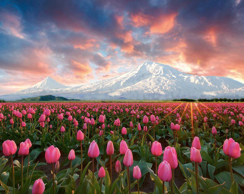 SPRING HOLIDAYS in Armenia - GreenWay Travel